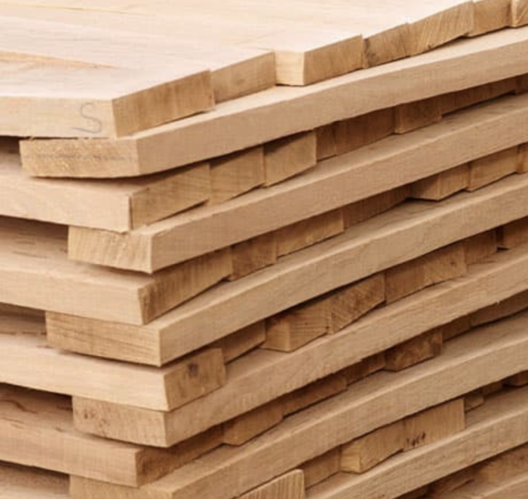 Fiche Technique du Chêne - Sol-Eco